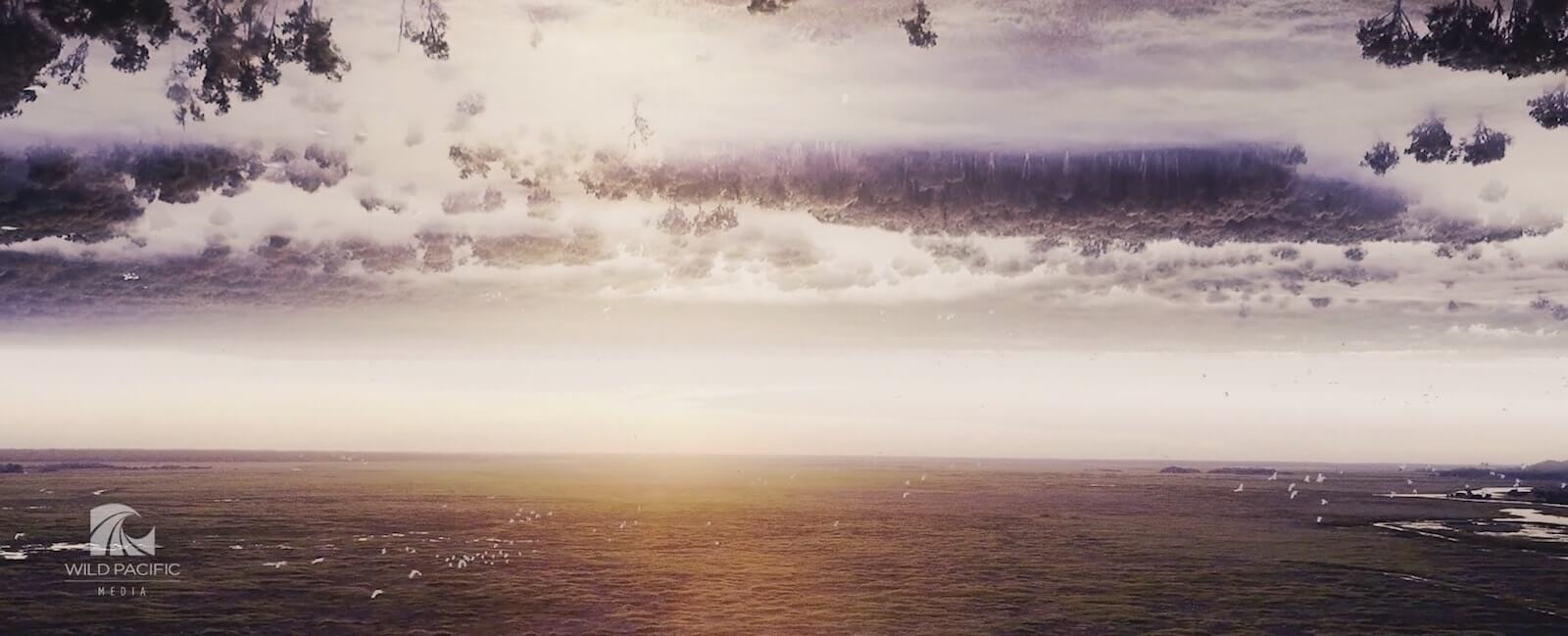 Epic Drone Shots Mashup: The Best Drone Footage of 2020