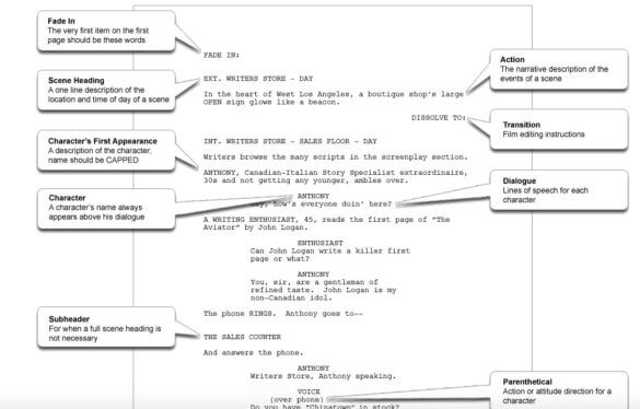 15 Best Screenwriting Books to Help You Break Into Hollywood