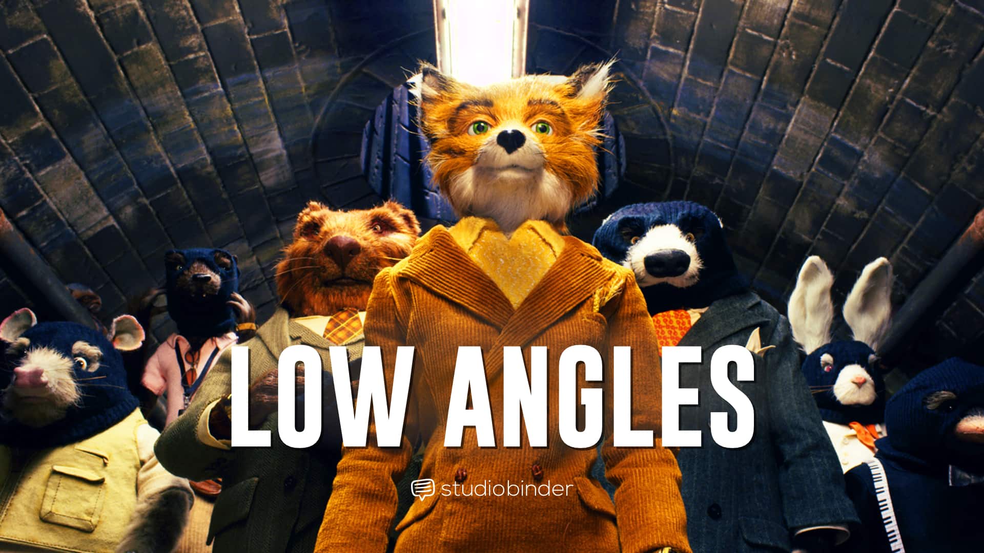 Low Angle Shot: Creative Examples of Camera Movements & Angles