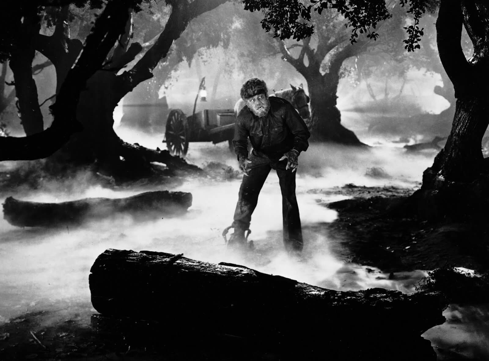 20 Best Werewolf Movies You Need to Watch Right Now