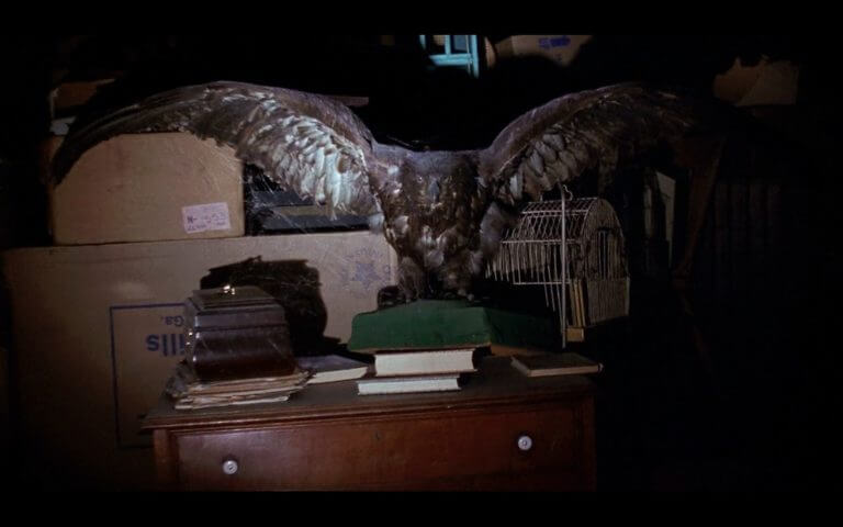 What is a Motif? Definition and Examples for Filmmakers