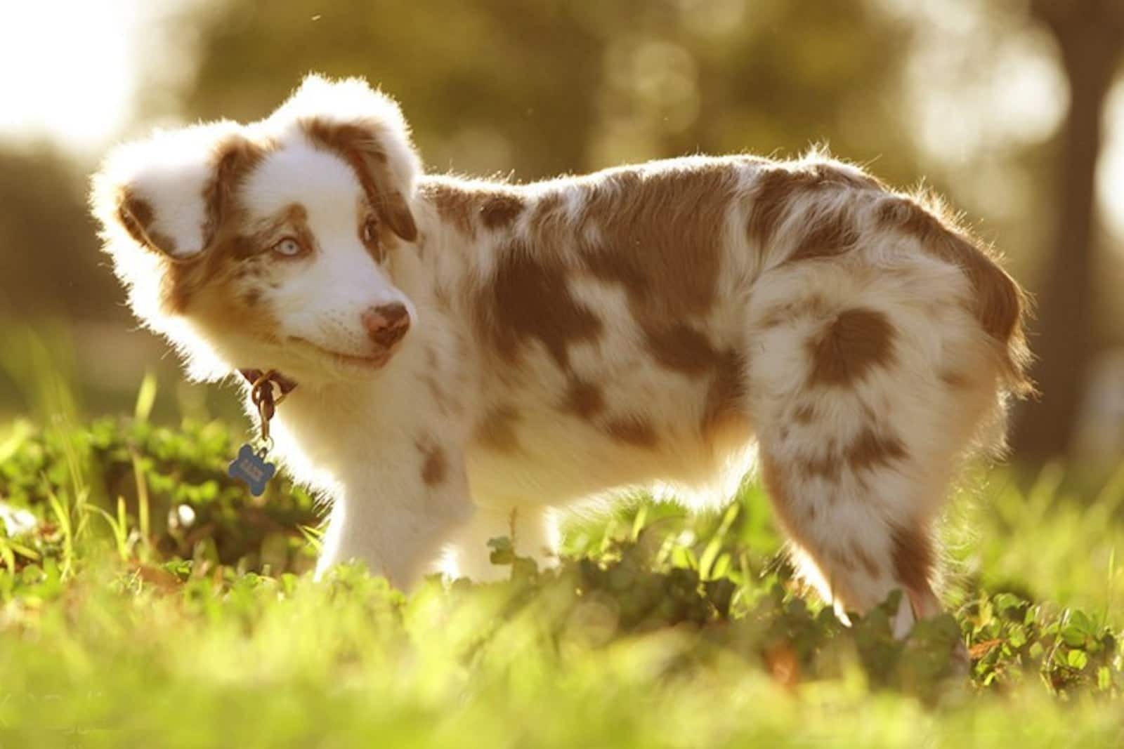 When is Golden Hour? How to Capture the Perfect Light