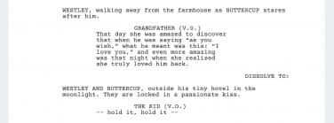 The Princess Bride Script: Characters, Quotes, and Screenplay PDF