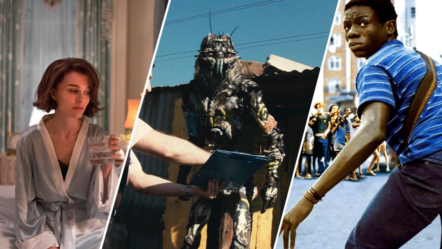 The Handheld Shot in Film — Definition and Examples