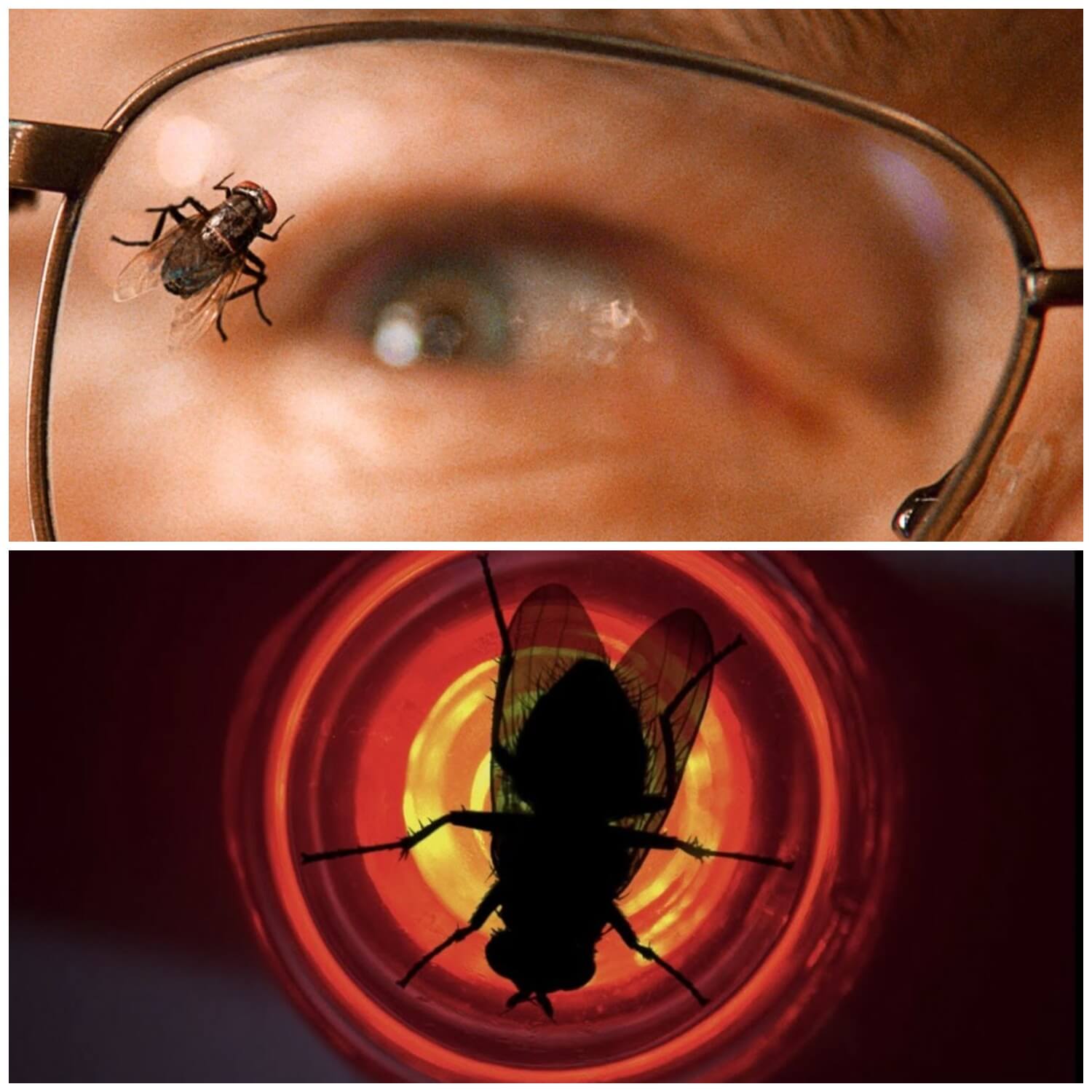 Breaking Bad Symbolism — The Right Way to Use Symbols