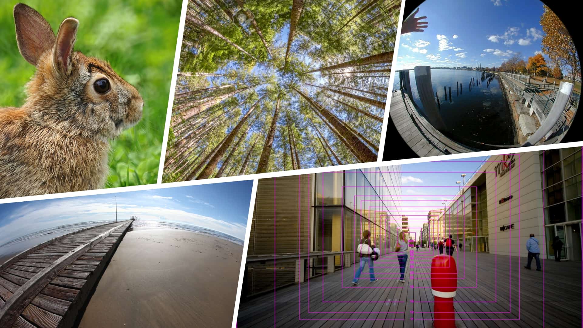 What Is FOV The Importance Of Field Of View In Photography