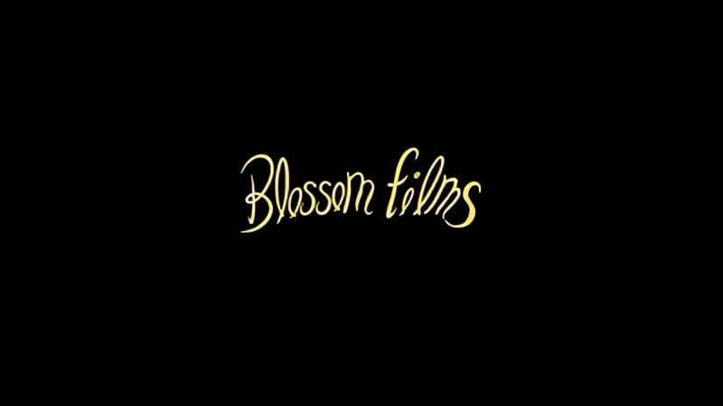 Film Production Company Names — Creative Ideas & Examples